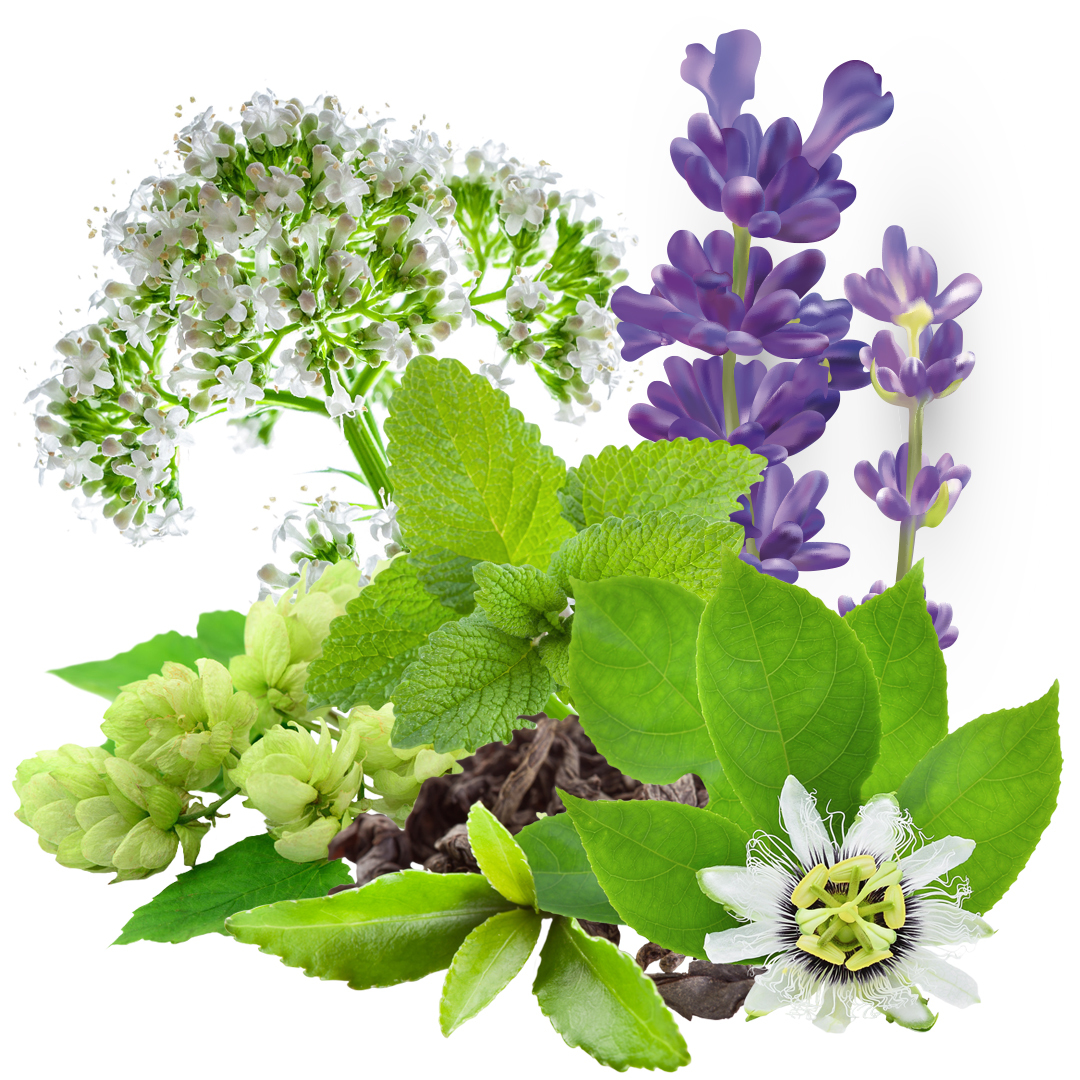 BARNY'S HypnoX® MELATONÍN 30 kapsúl - MojaLekáreň.sk